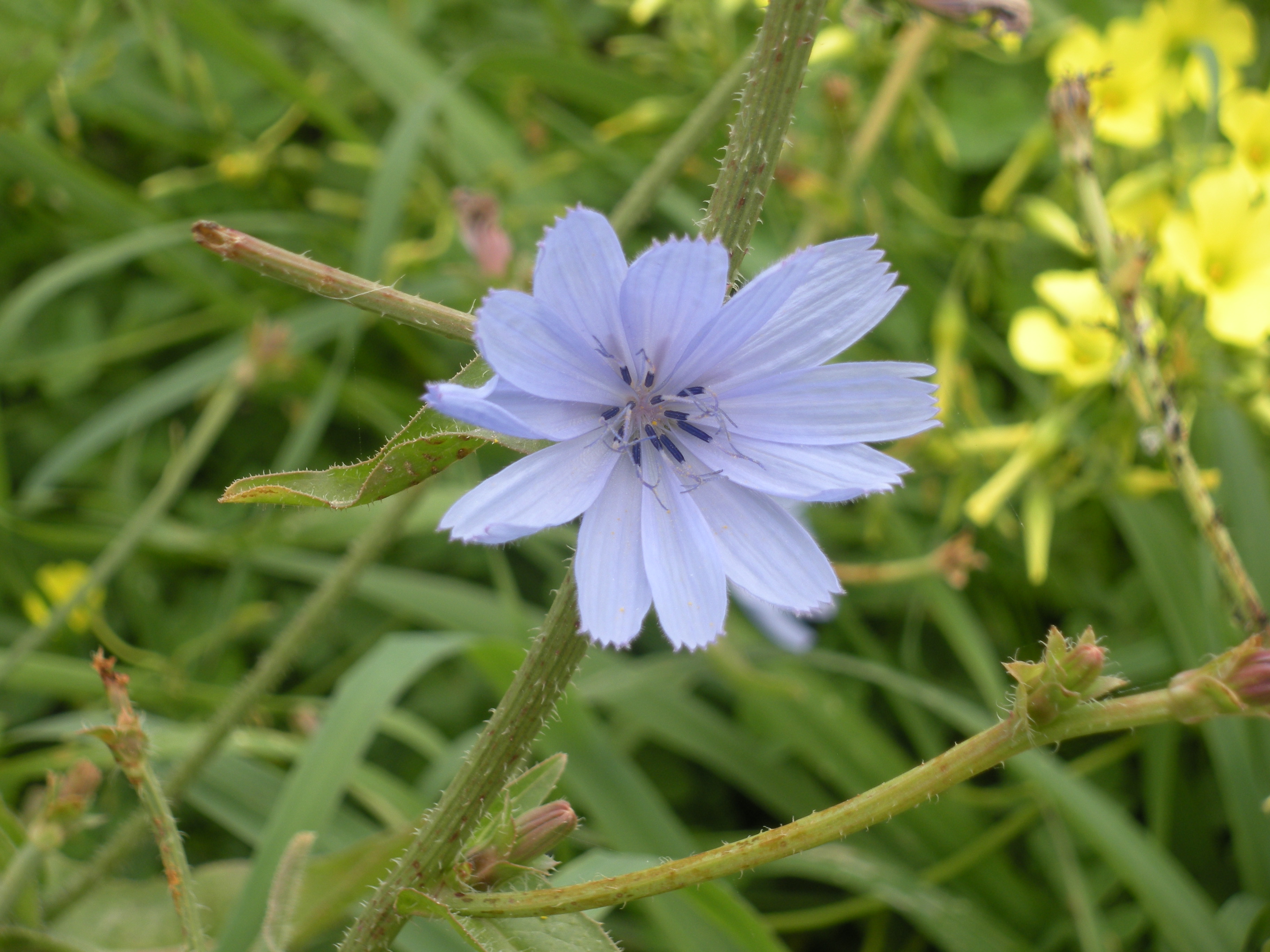 Karel Capek- apocryphal tales – MindReadings